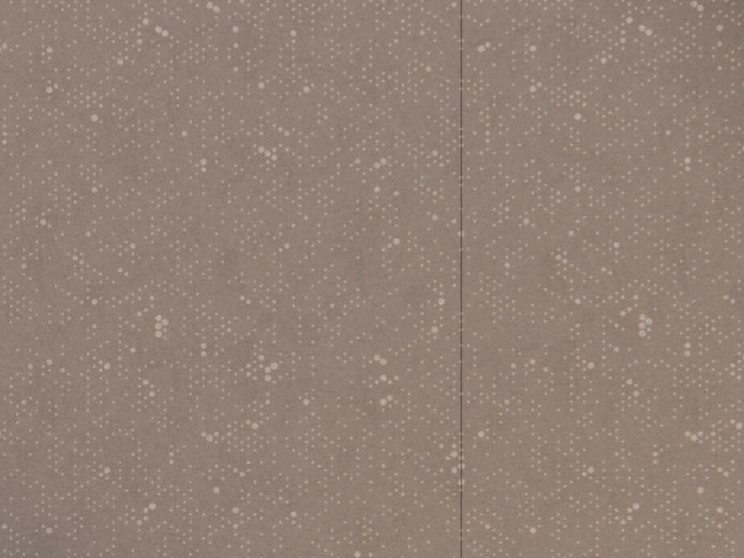 Starry Sky | CSI Creative