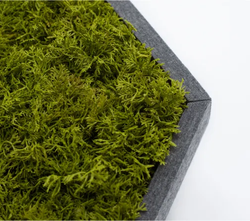 Projects | Infinity Ward Austin