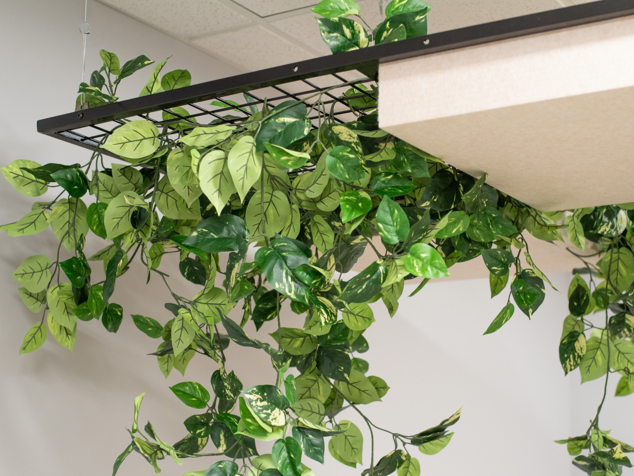 Lanai Bio-Acoustic Clouds | Suspended Lattice | CSI Creative