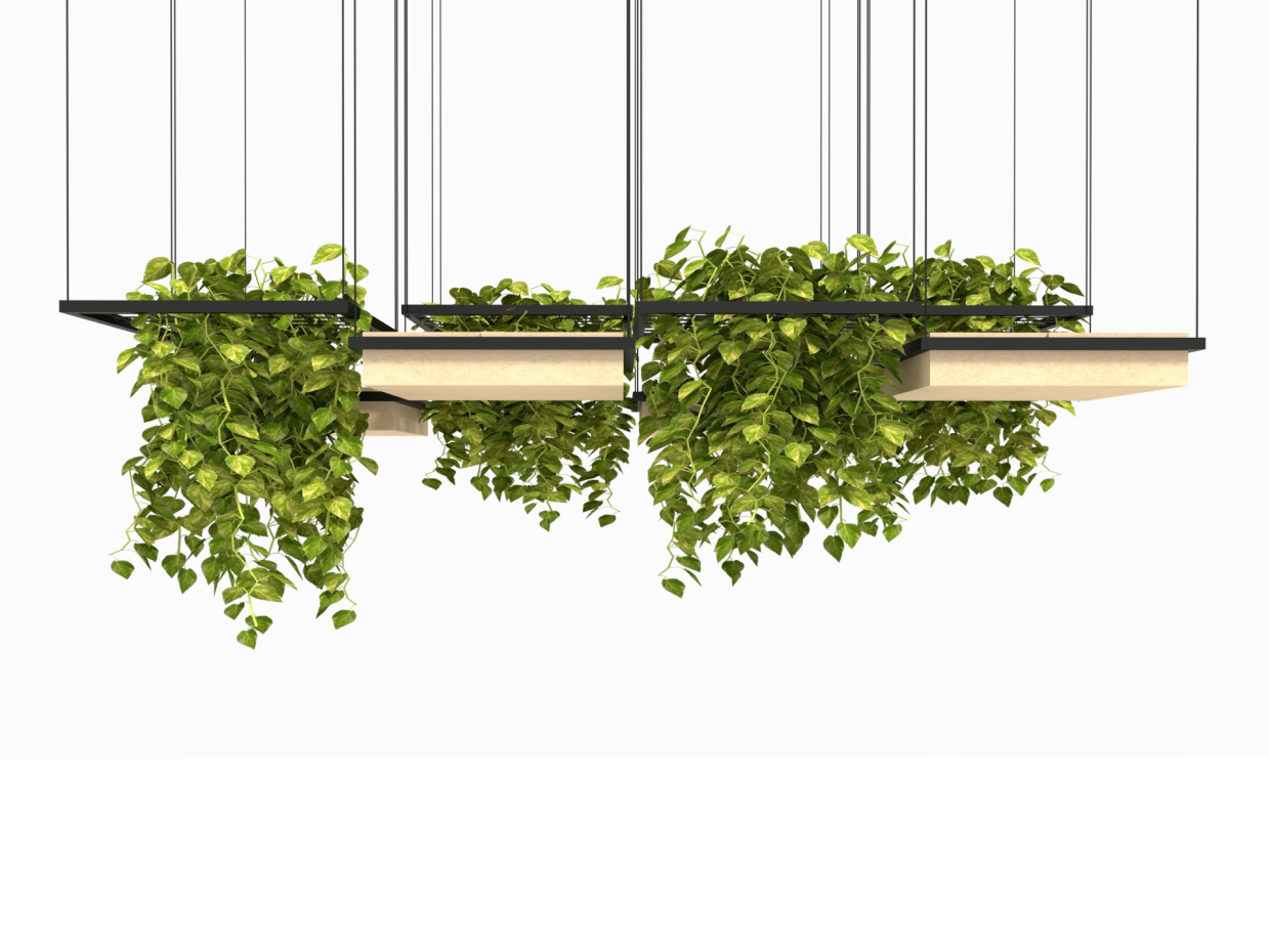 Lanai Bio-Acoustic Clouds | Suspended Lattice | CSI Creative