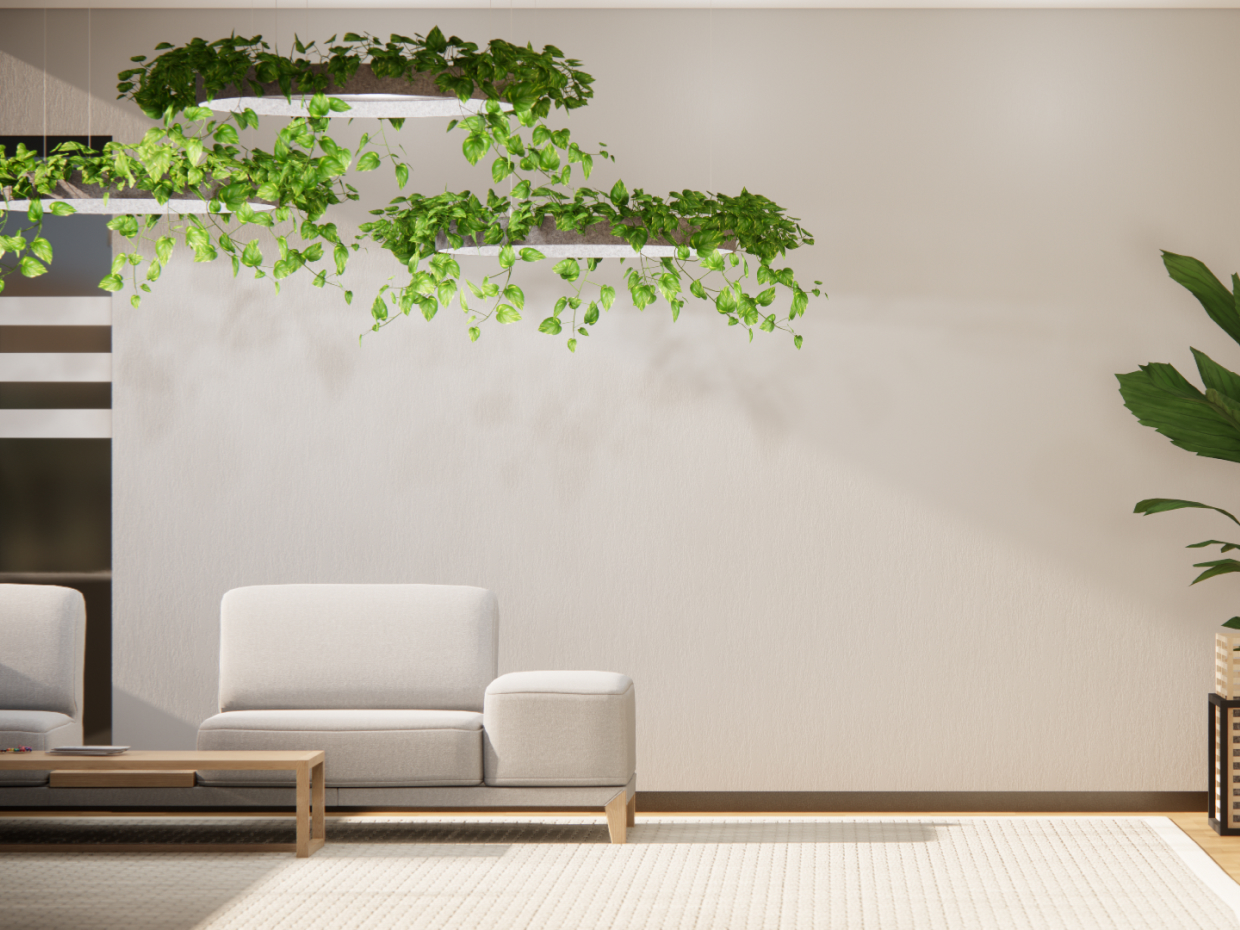 Canopy | CSI Creative