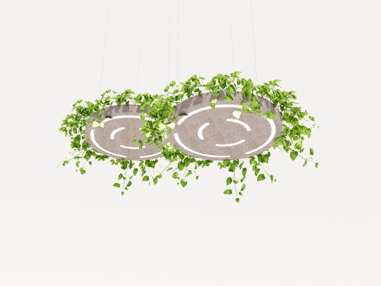 Canopy | CSI Creative