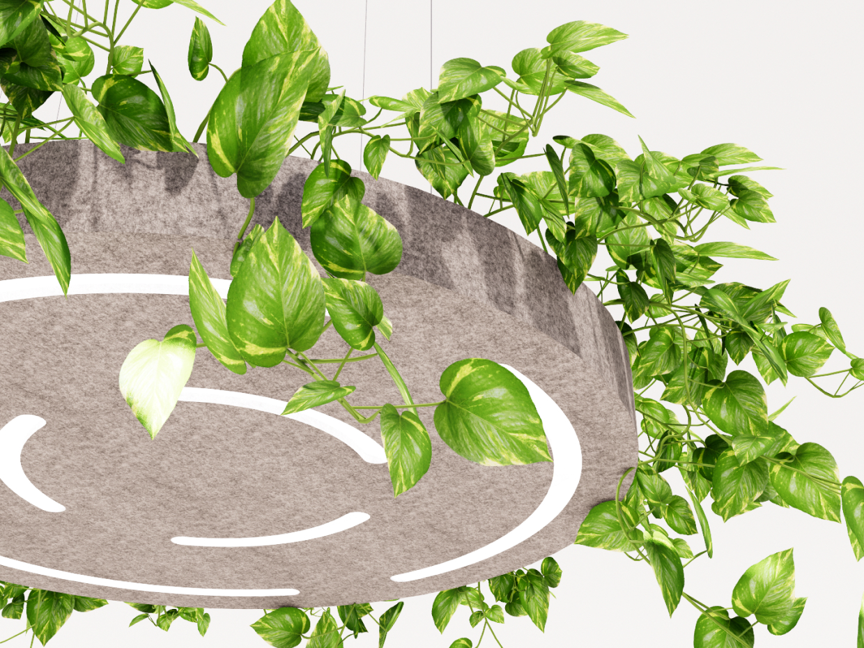 Canopy | CSI Creative