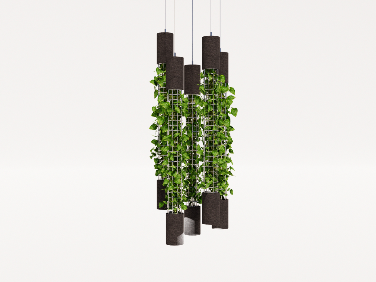 Climbing Plant | CSI Creative