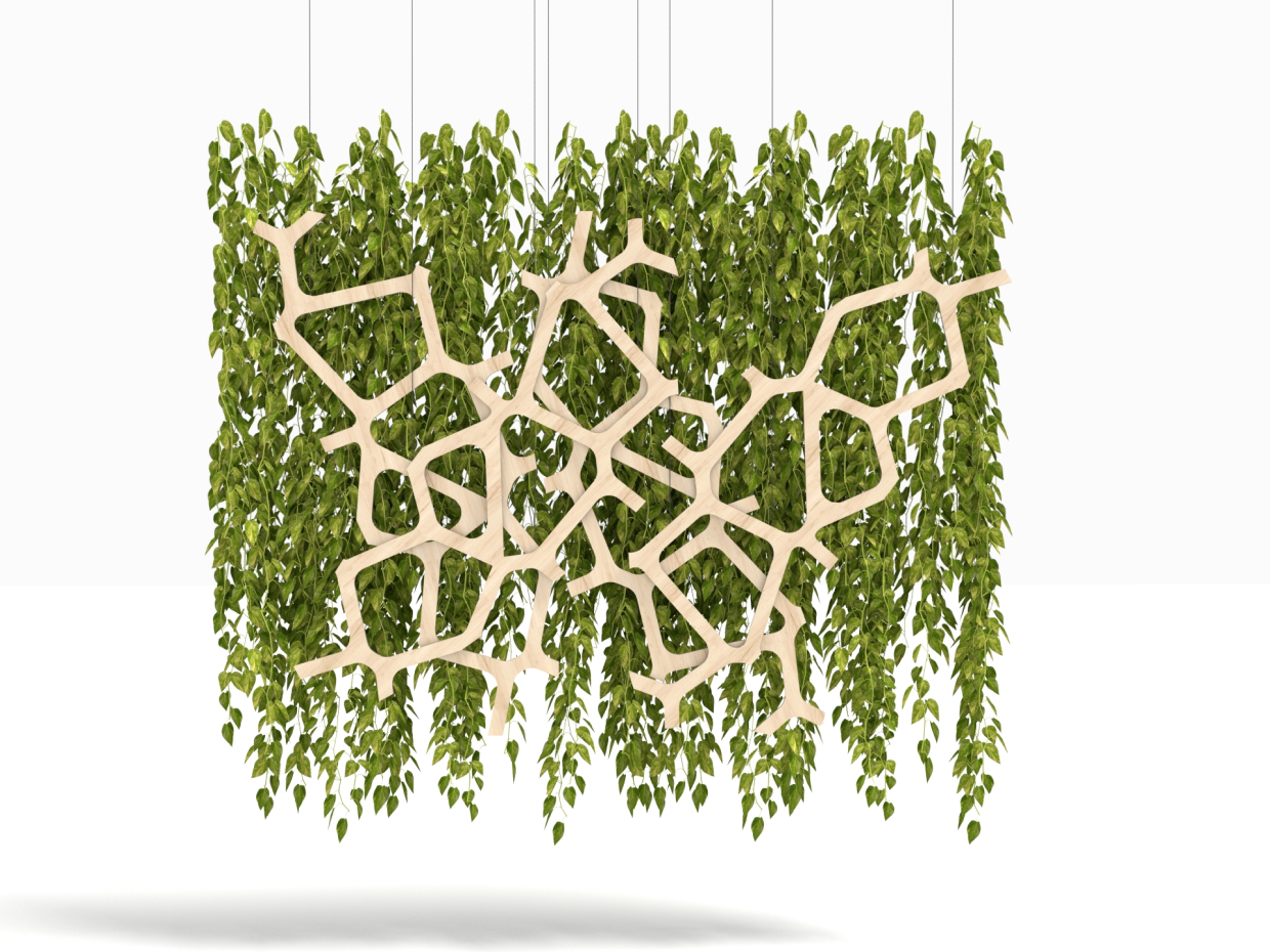 Coral Reef | CSI Creative