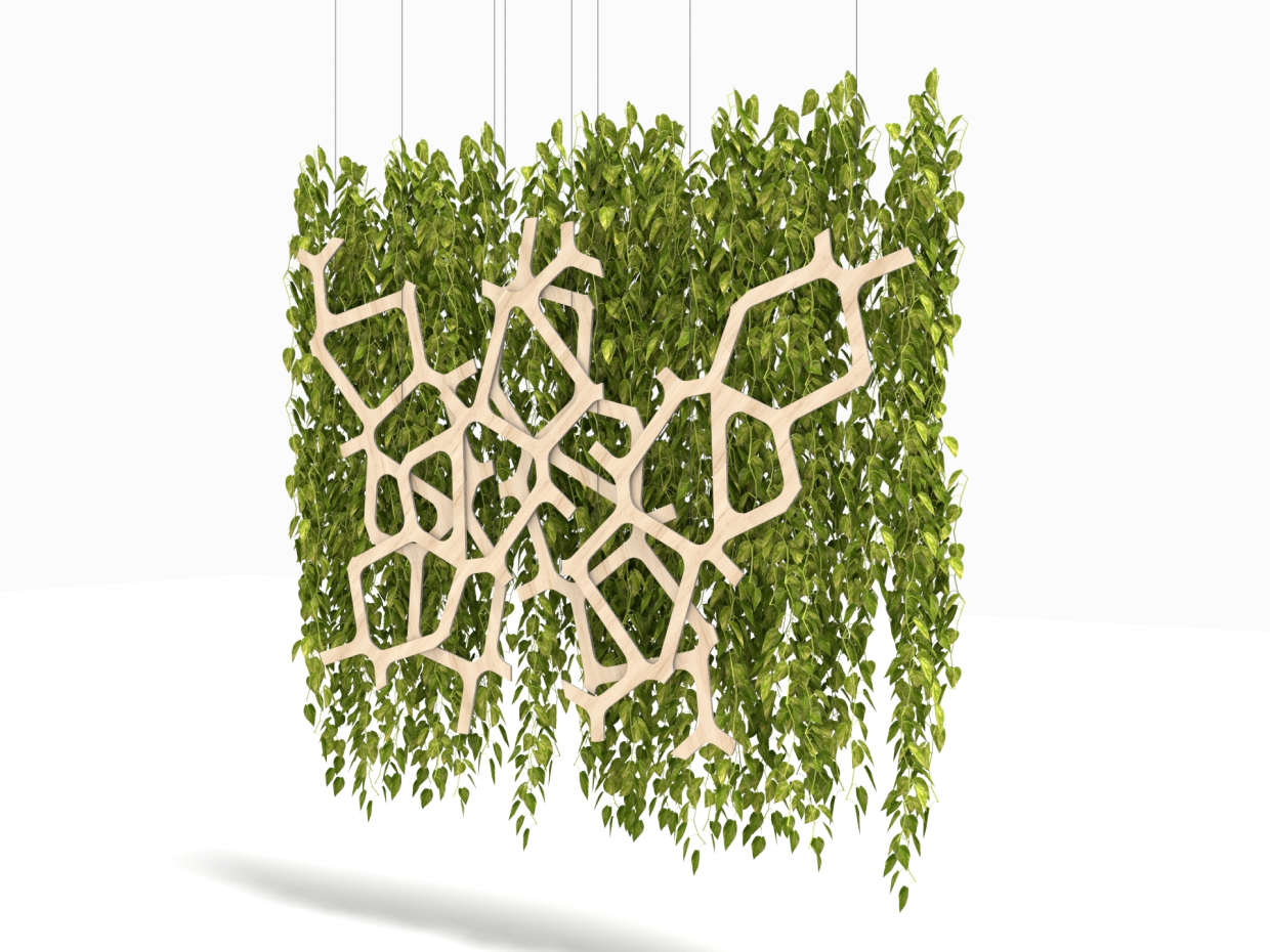 Coral Reef | CSI Creative