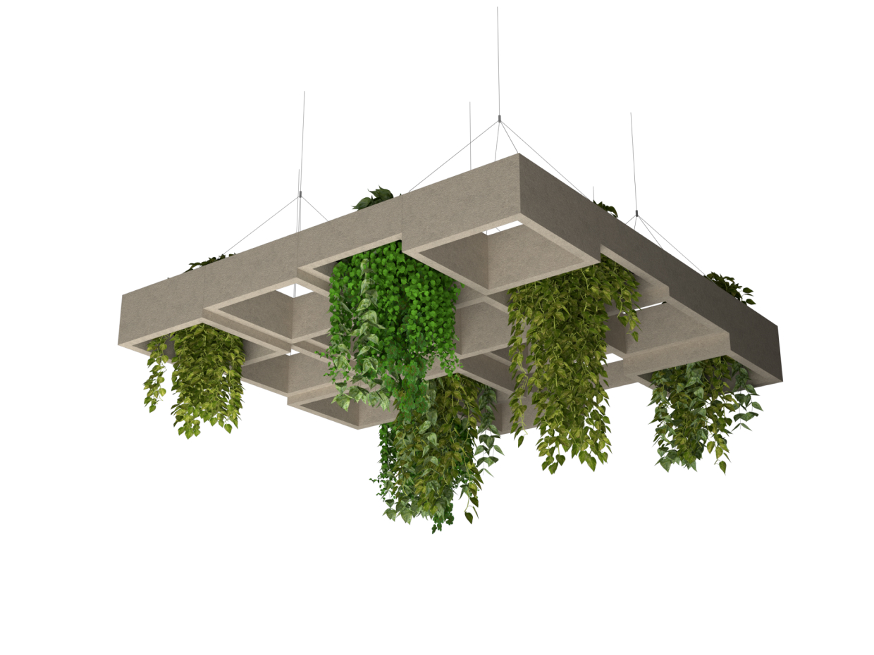 Tree Top | CSI Creative