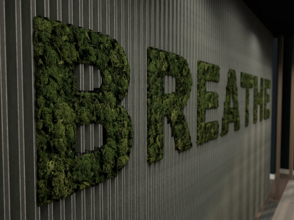 Breathe | CSI Creative