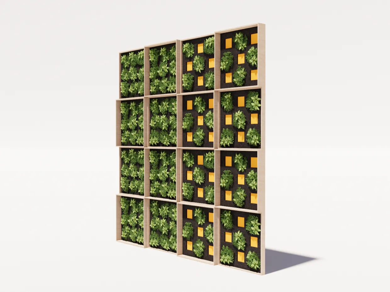 Pacaya | CSI Creative