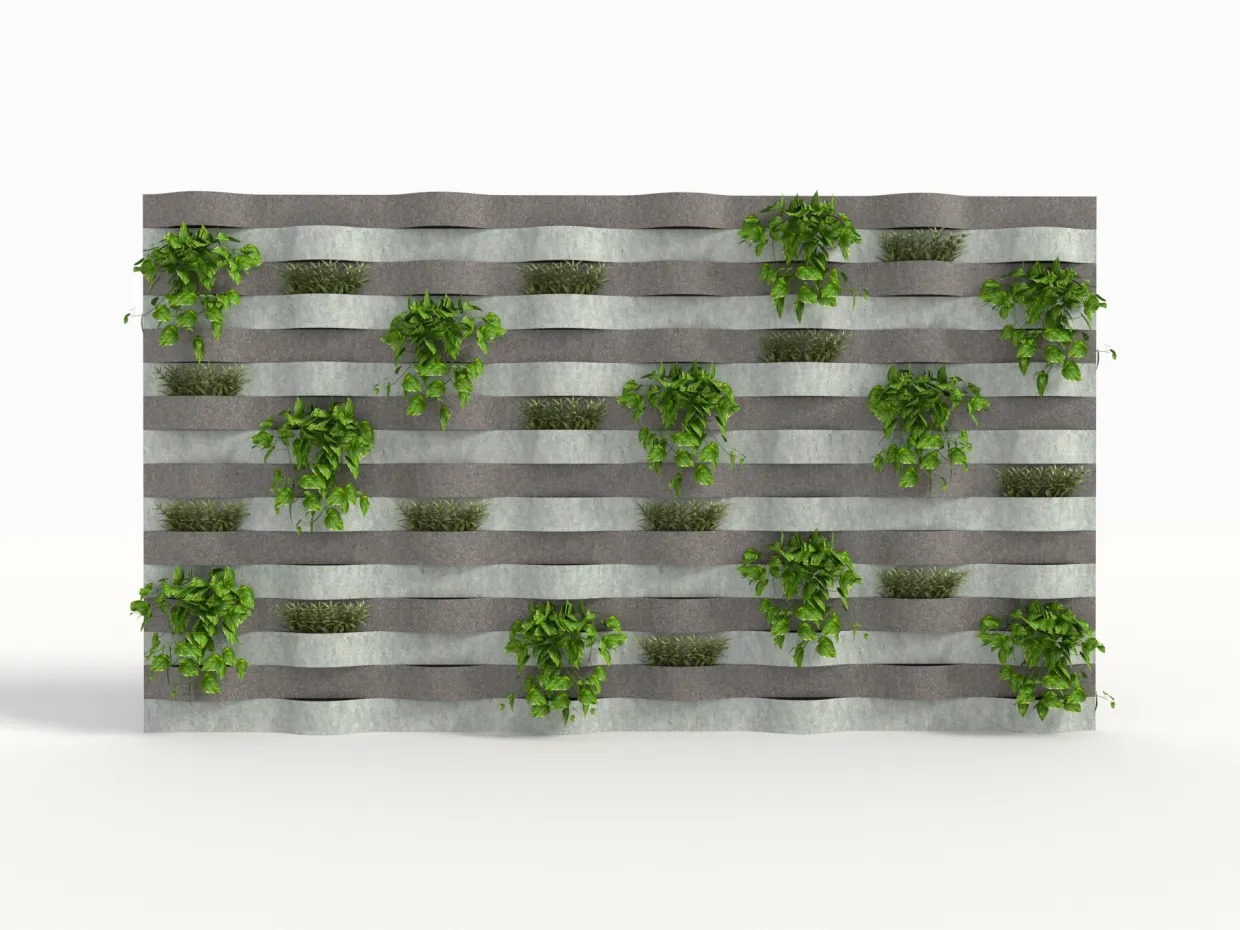 Pacaya | CSI Creative