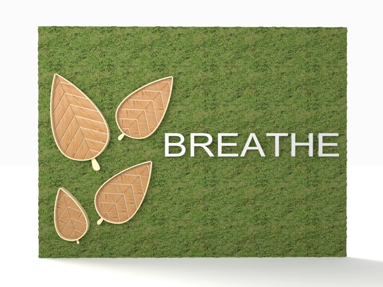 Dried Palm | CSI Creative