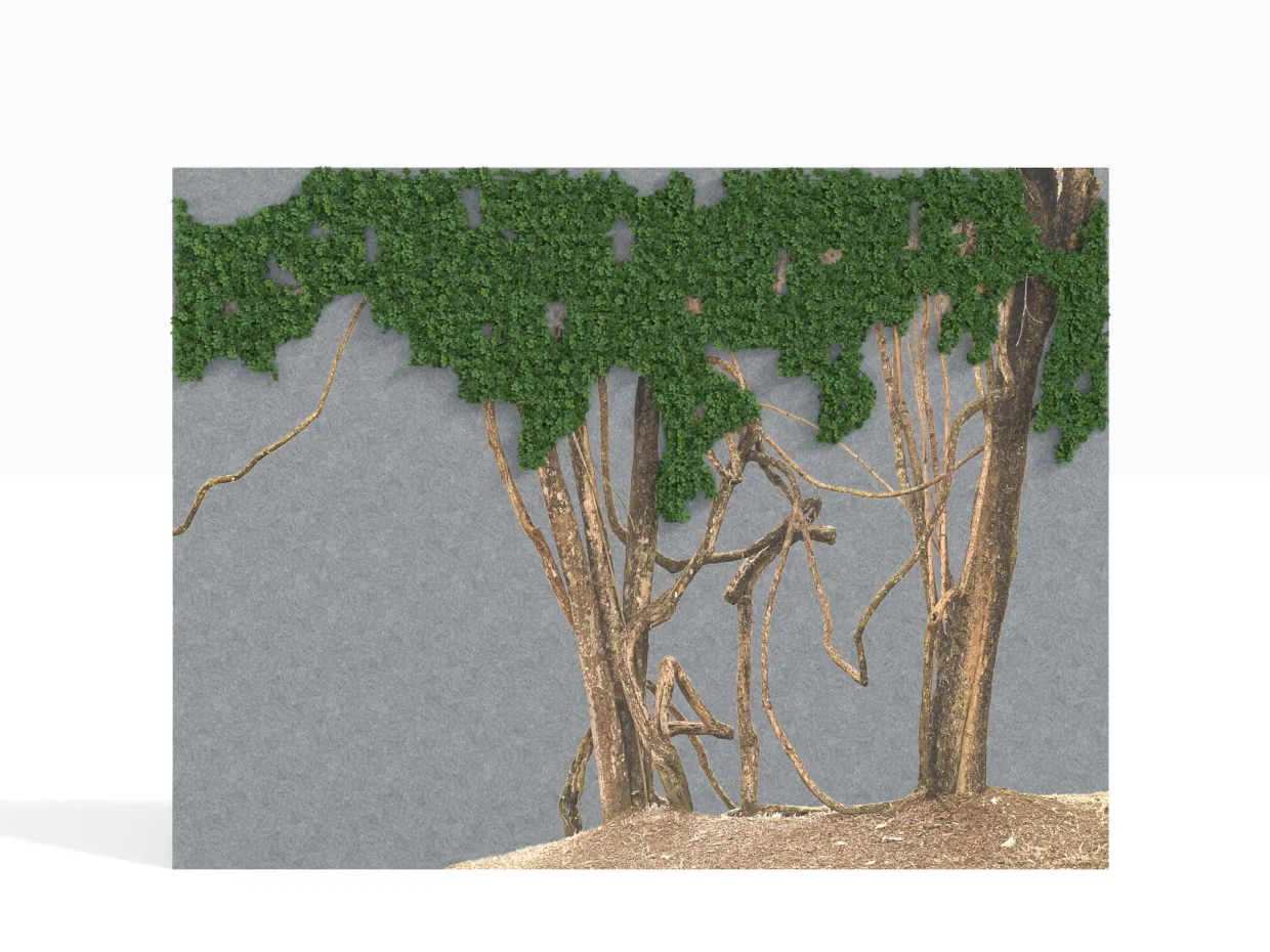 Green Canopy | CSI Creative