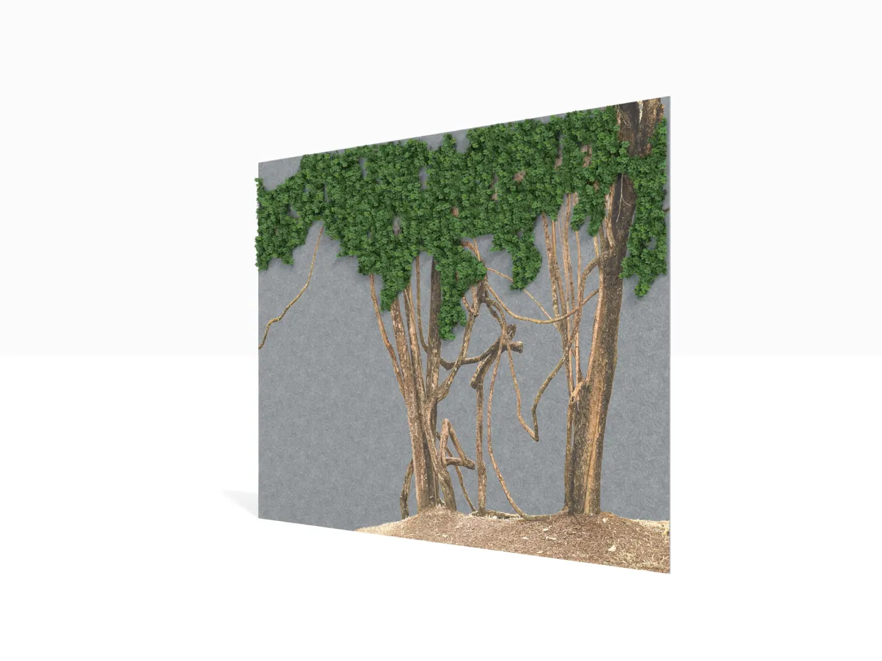 Green Canopy | CSI Creative