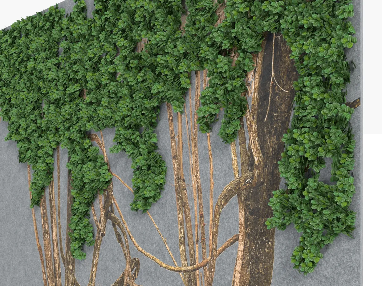 Green Canopy | CSI Creative