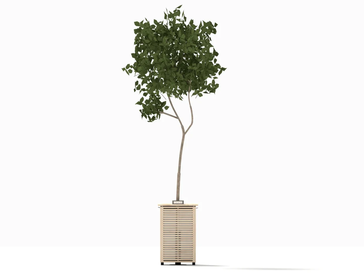 Pipe Tree | CSI Creative